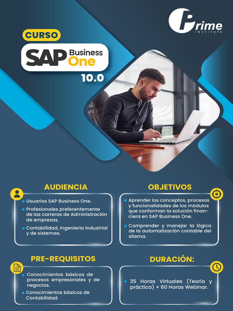 SAP Business One | Descargar gratis PDF | Contabilidad | Gestión de la ...
