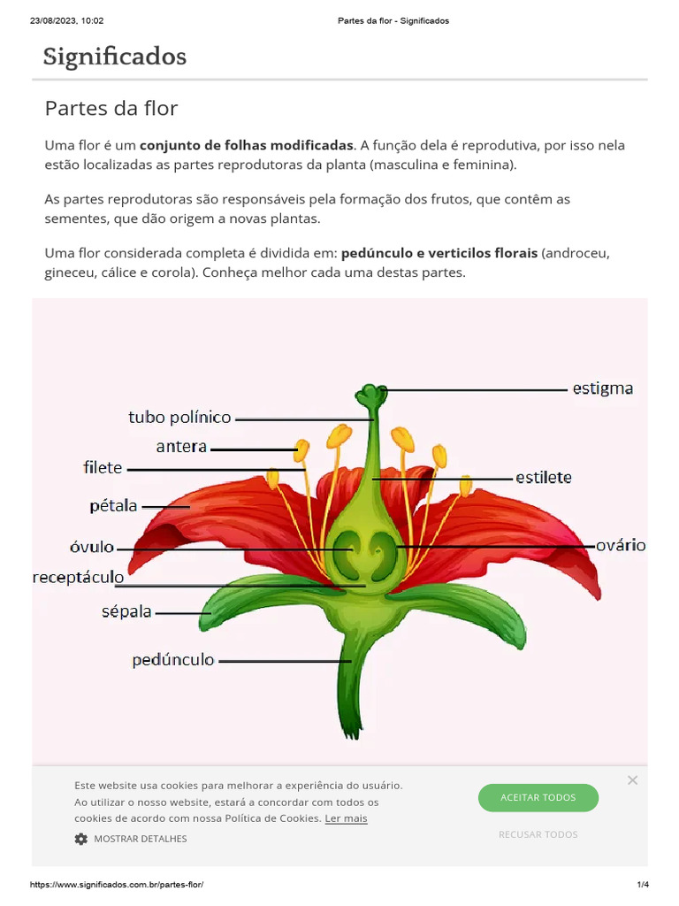 Partes Da Flor - Significados | PDF | Flores | Áreas da Botânica