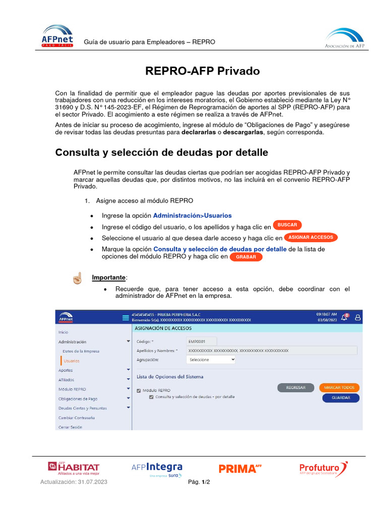 Manual Consulta Selección Deuda Detalle - AFPNET | PDF | Informática