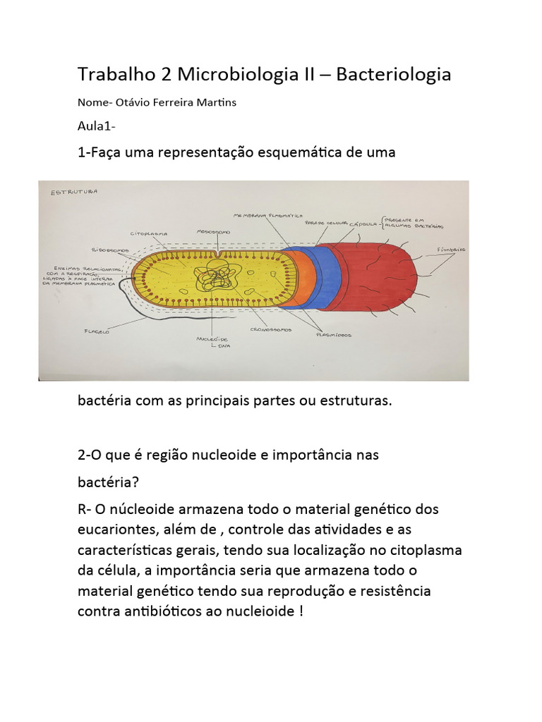 Microbiologia II | PDF | Bactérias | Célula (Biologia)