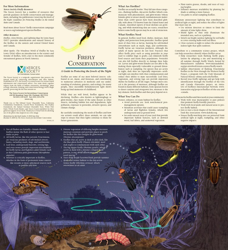 Firefly Brochure Web | PDF | Habitat
