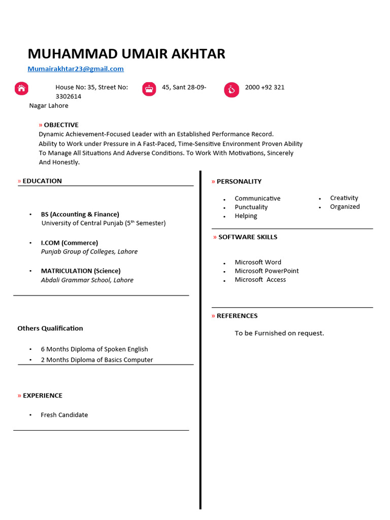 MUHAMMAD UMAIR AKHTAR CVVV | PDF | Career & Growth | Art