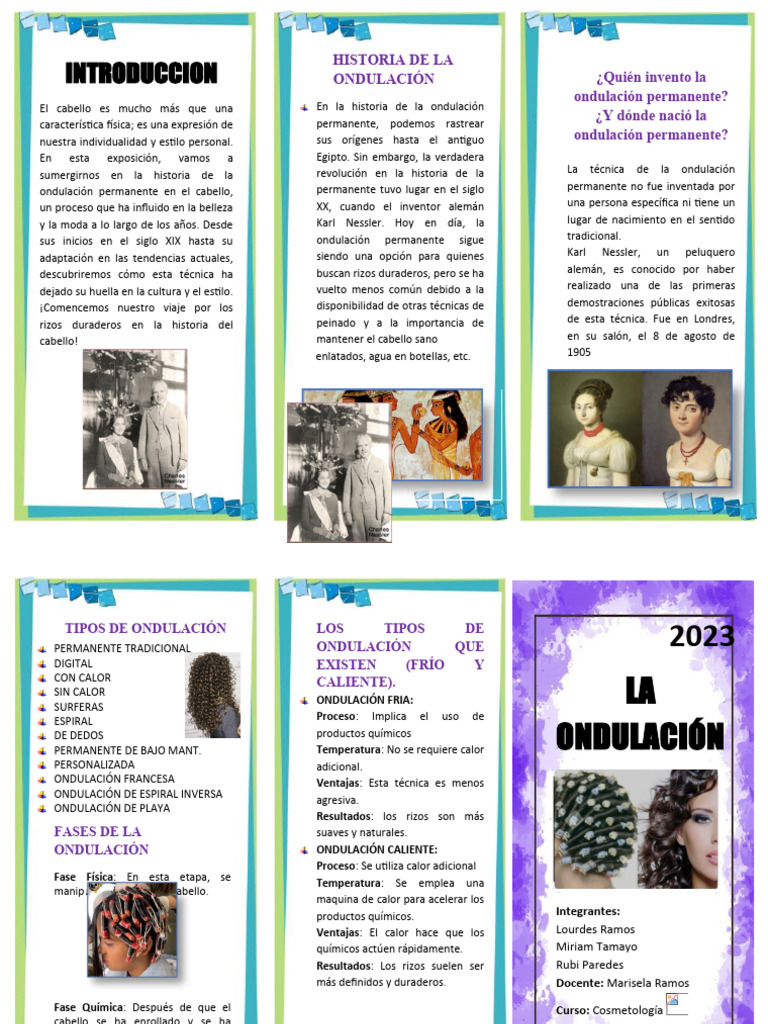 Imprimir Triptico | PDF | Calor | Pelo