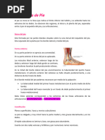 Anatomía y Biomecánica del Pie | PDF | Pie | Tobillo