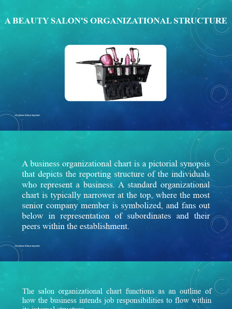 A Beauty Salon's Organizational Structure | PDF | Economies | Business