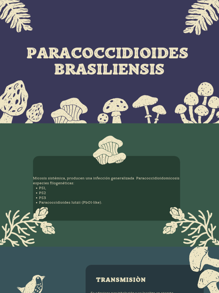Paracoccidioides Brasiliensis | PDF