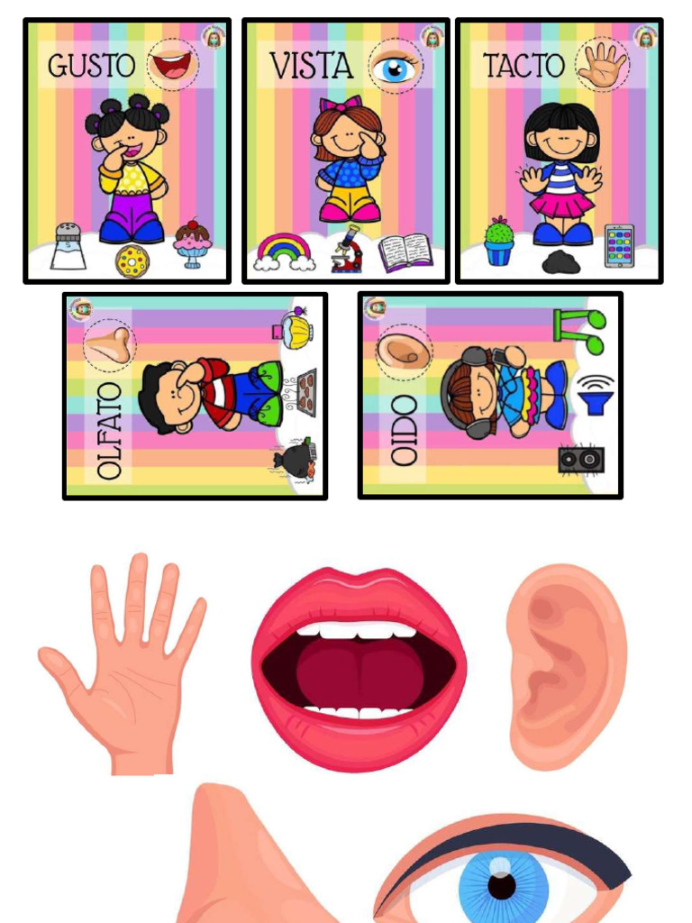 5 Sentidos | PDF