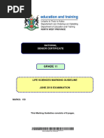 Life Sciences Grade 10 Revision Answers Term 2 - 2023 | PDF | Stoma | Heart