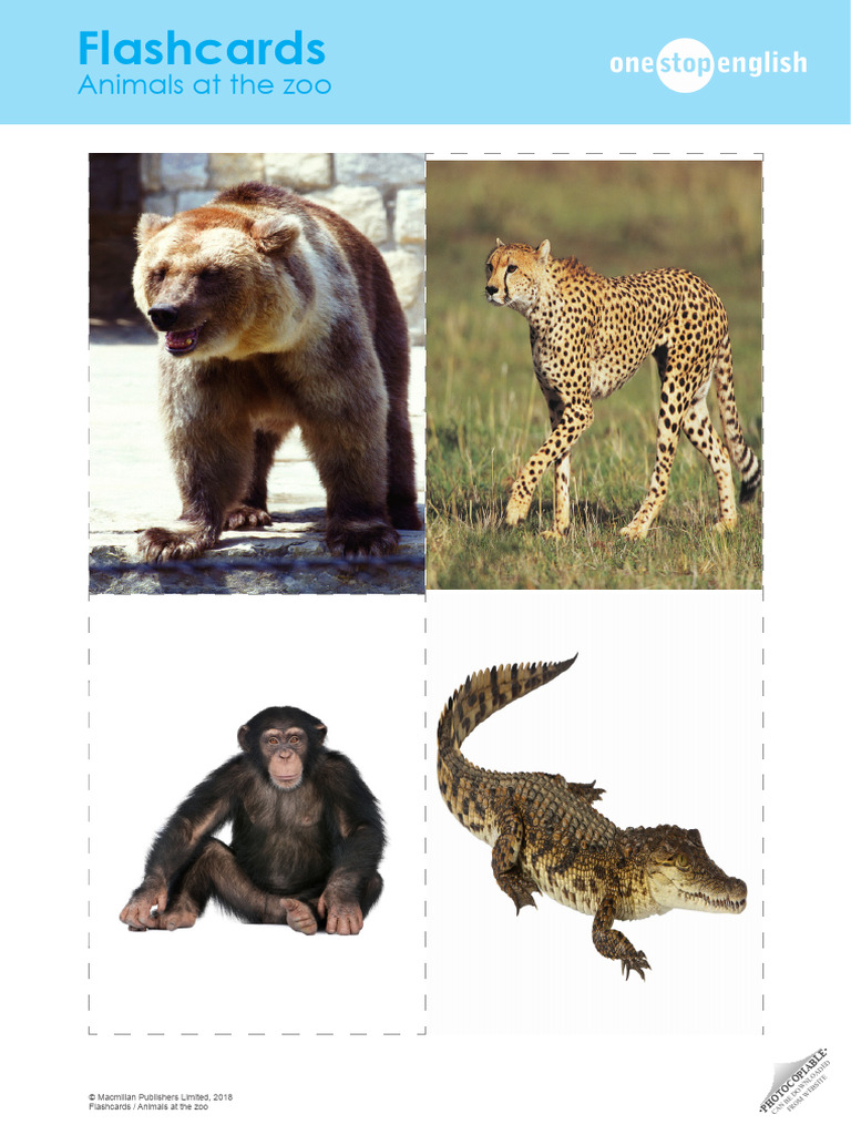 Animals at The Zoo | PDF | Zoology | Organisms