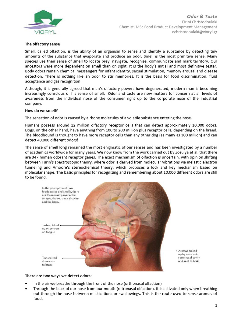 Odour Taste | PDF | Odor | Senses