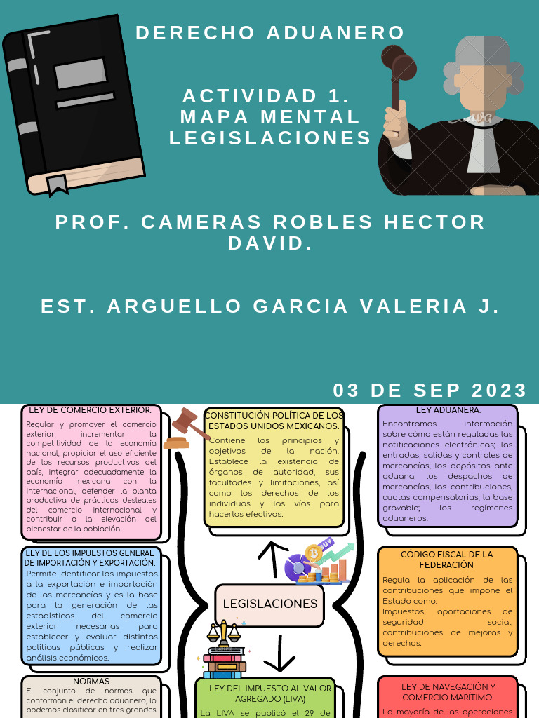 Mapa Conceptual A1 | Descargar gratis PDF | aduana | Arancel