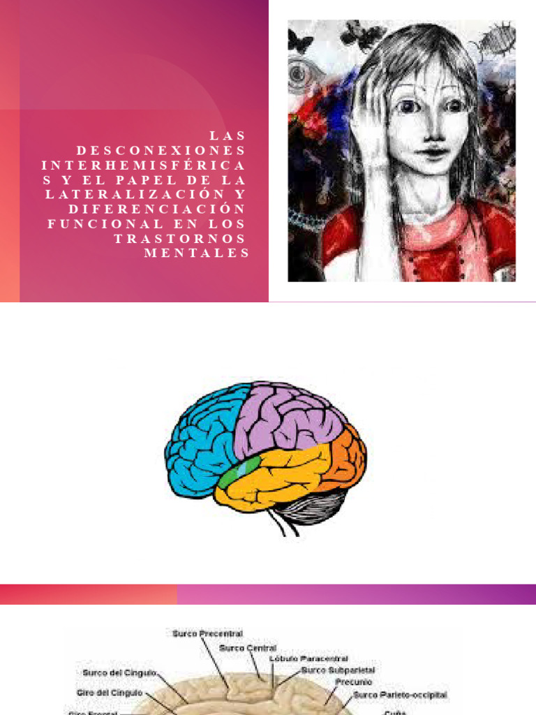 Asimetria TEA | PDF | Hemisferio cerebral | Cerebro