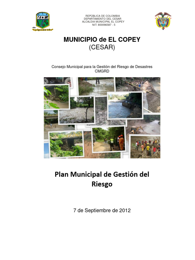 Plan Municipal de Gestión del Riesgo El Copey | PDF | Riesgo | Entorno ...