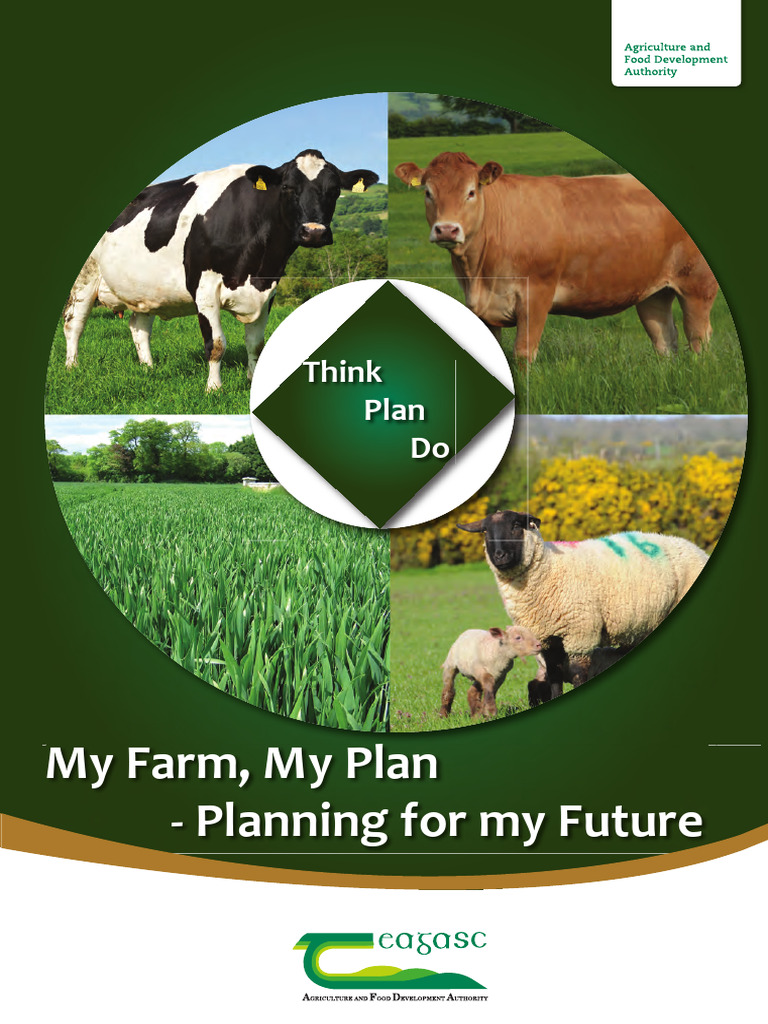 MyFarm MyPlan Business Plan | PDF | Sheep | Farms