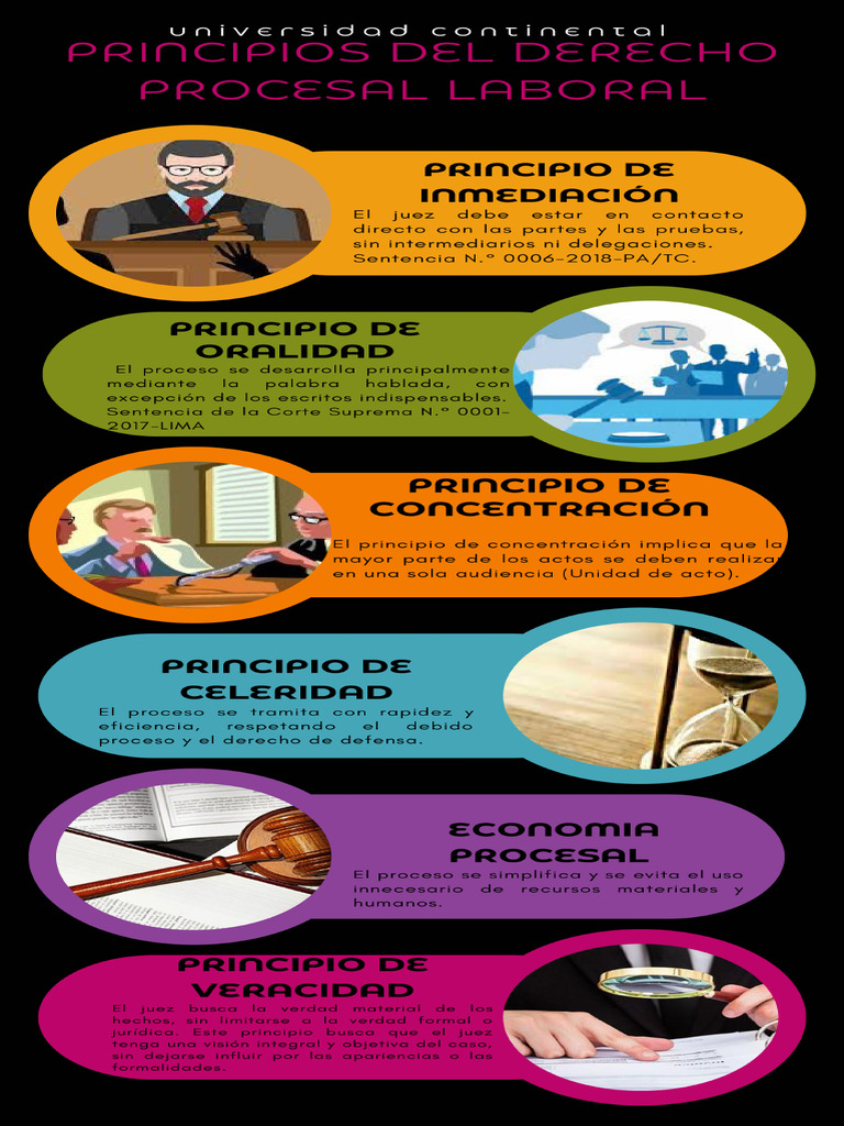 Infografía Principios | PDF