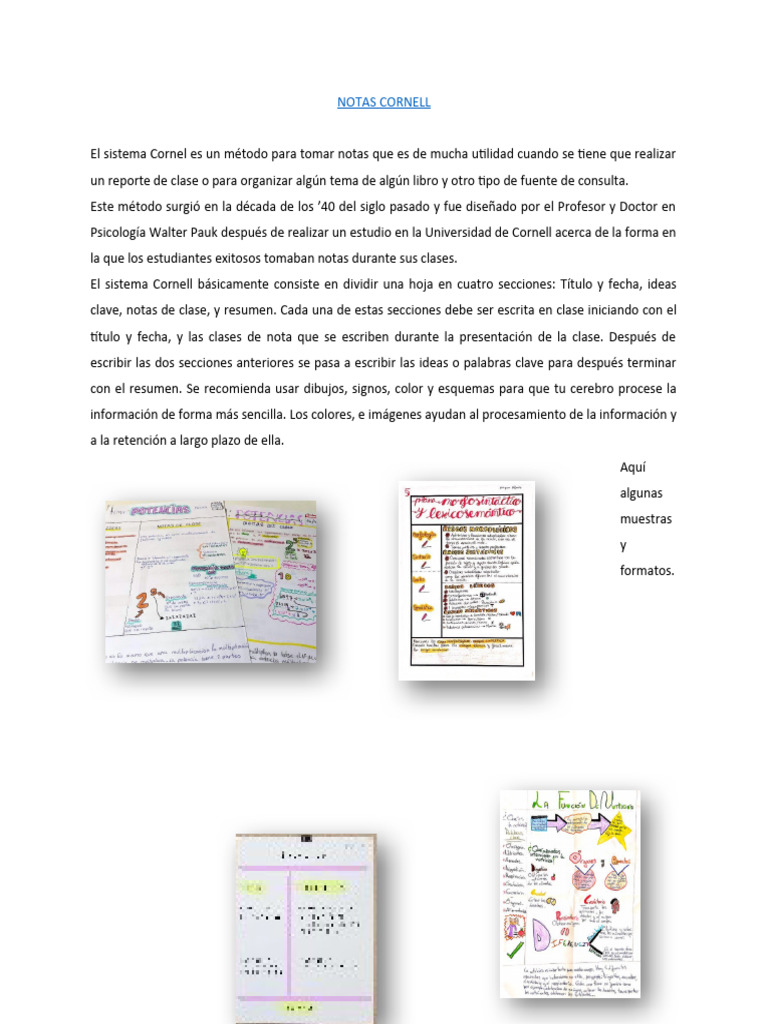 Notas Cornell | PDF