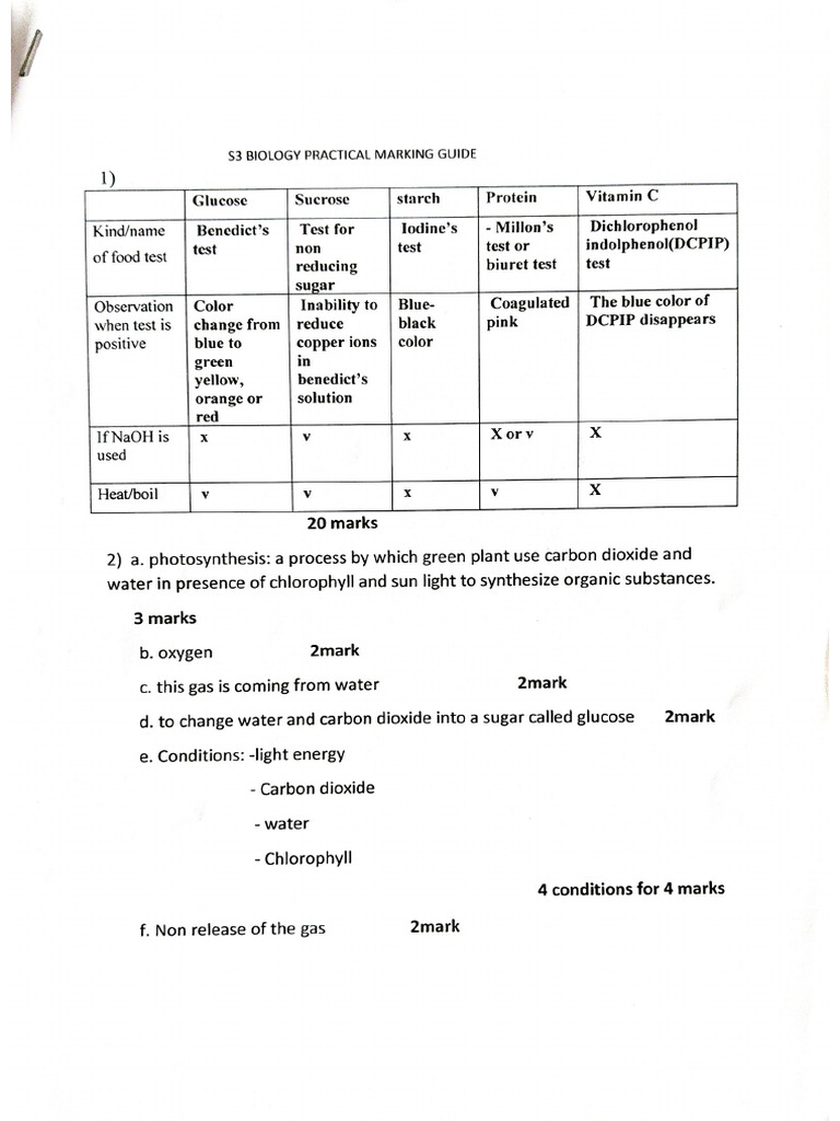BIO S3 (Marking) Practical | PDF