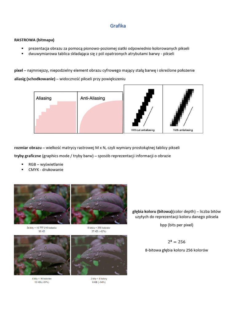 Grafika I Multimedia | PDF