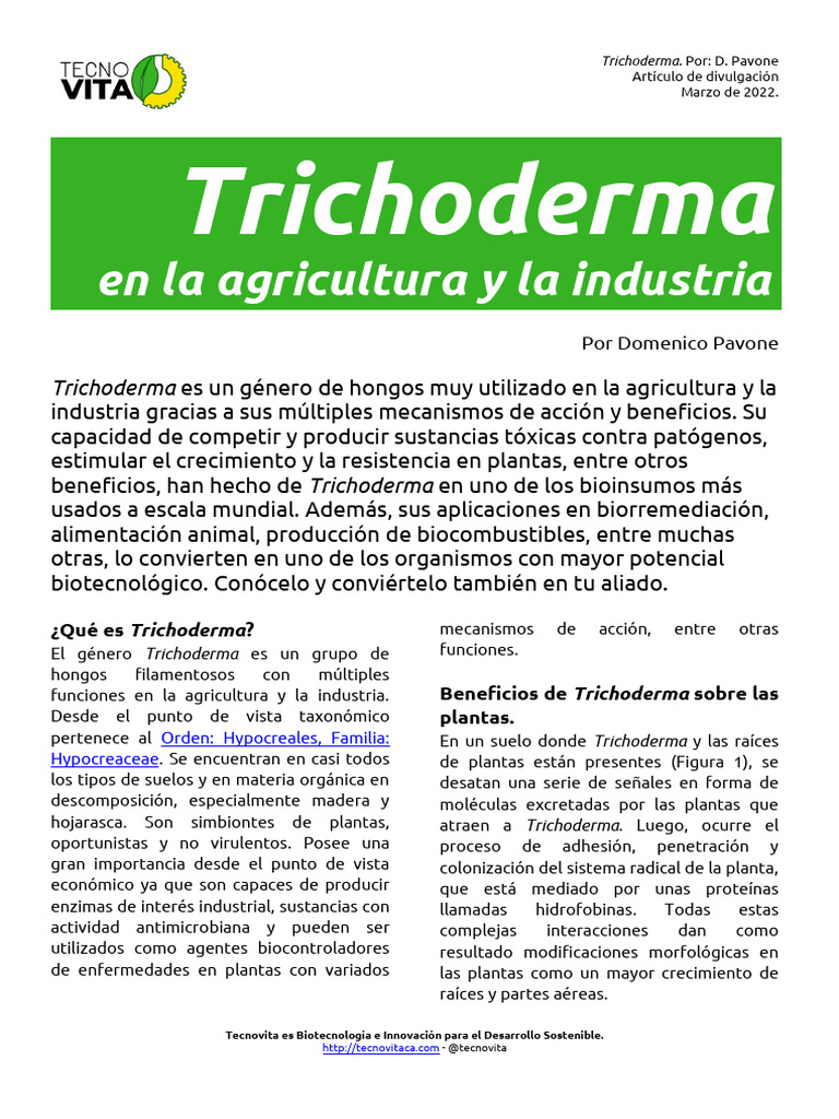 Trichoderma | PDF | Hongo | Metabolismo