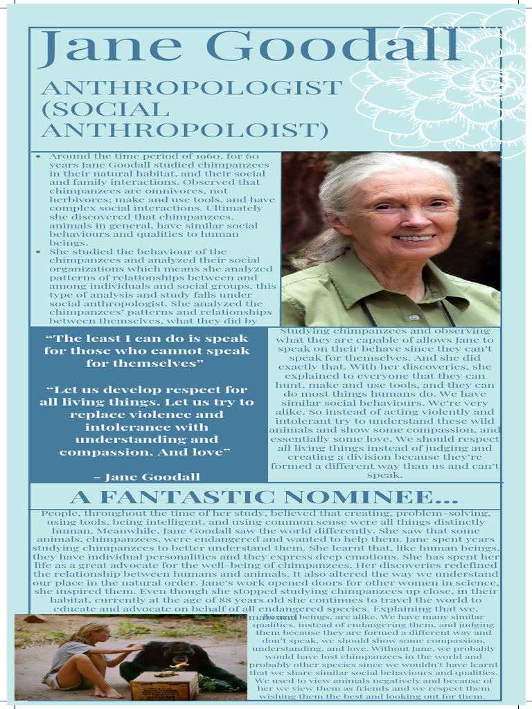 Beige Pink Aesthetic Beauty Rituals Infographic-4 | PDF | Chimpanzee ...