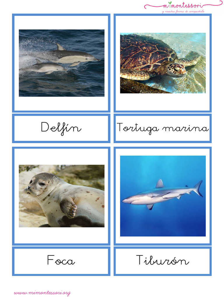 Tarjetas Animales Acuc3a1ticos Letra Ligada | PDF