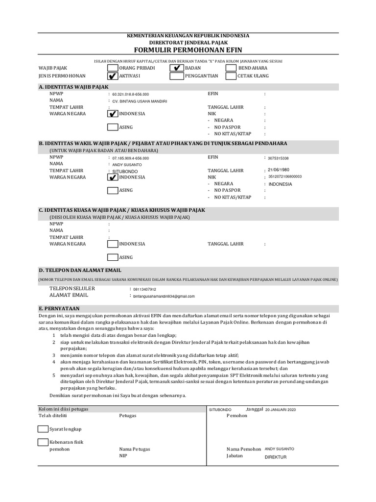 Formulir Permohonan Aktivasi EFIN | PDF