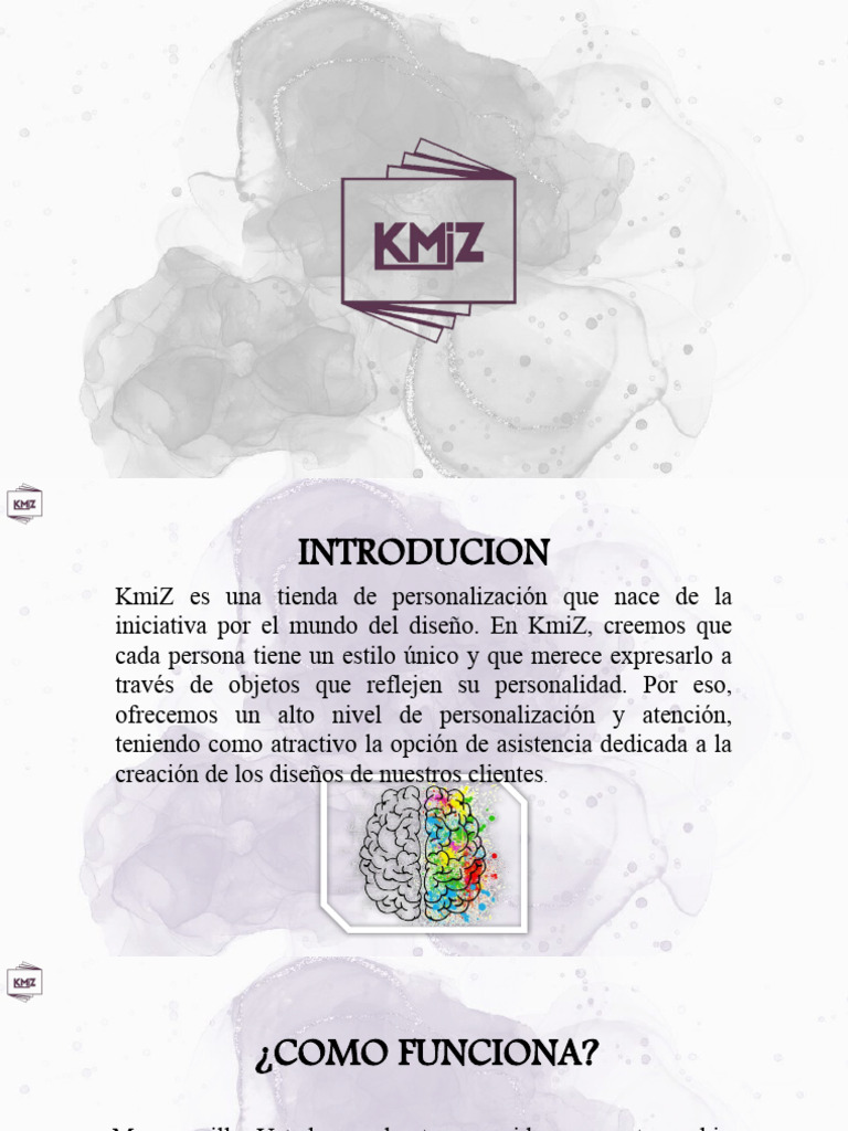 PRESENTACION KMiZ | PDF | Cliente | Diseño