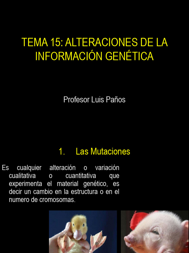 MUTACIONES | PDF | Mutación | Gene