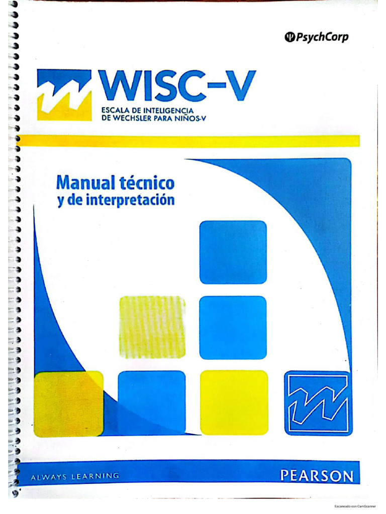 WISC V - Corrección e Interpretación | PDF