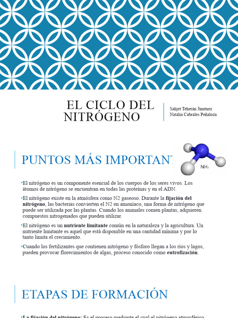 El Ciclo Del Nitrógeno | PDF | Nitrógeno | Fertilizante
