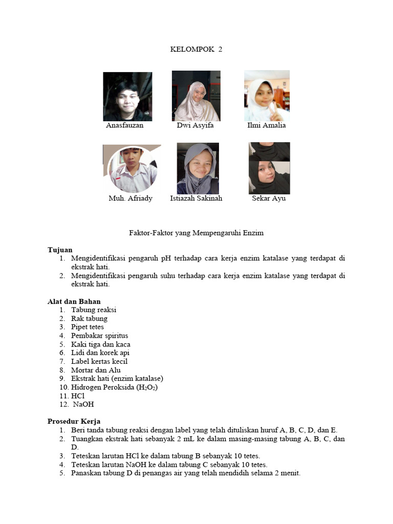 Kelompok 2 Laporan Penelitian Pdf