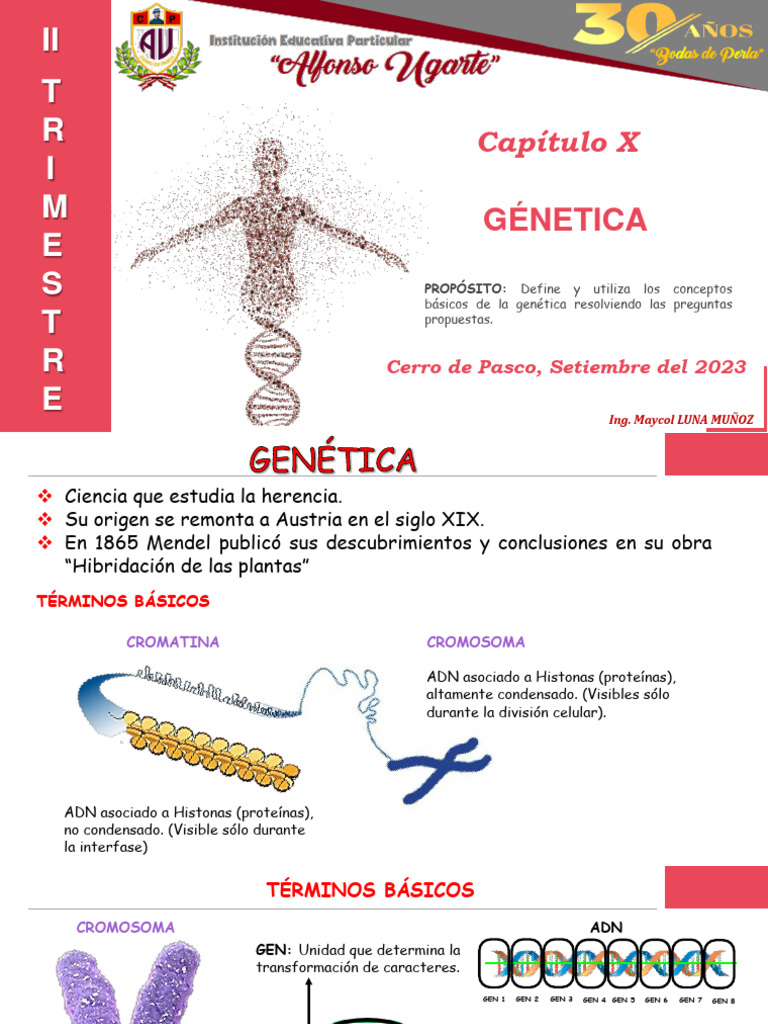 Conceptos Básicos de Genética | PDF | Dominancia (Genética) | Gene