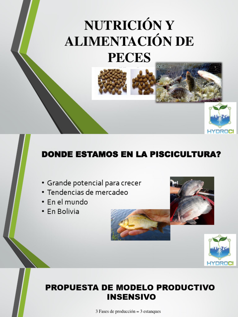 Nutricion y Alimentacion de Peces 2023 | PDF | Alimentos | Nutrición