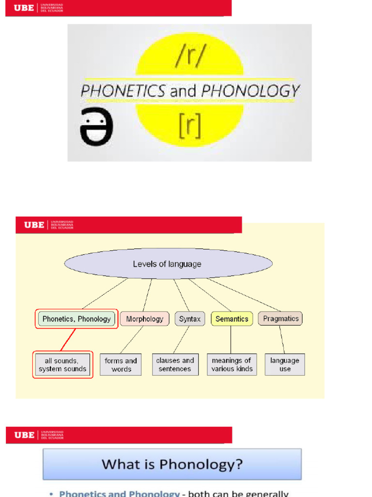 Phonetics and Phonology | PDF | Phonetics | Phonology