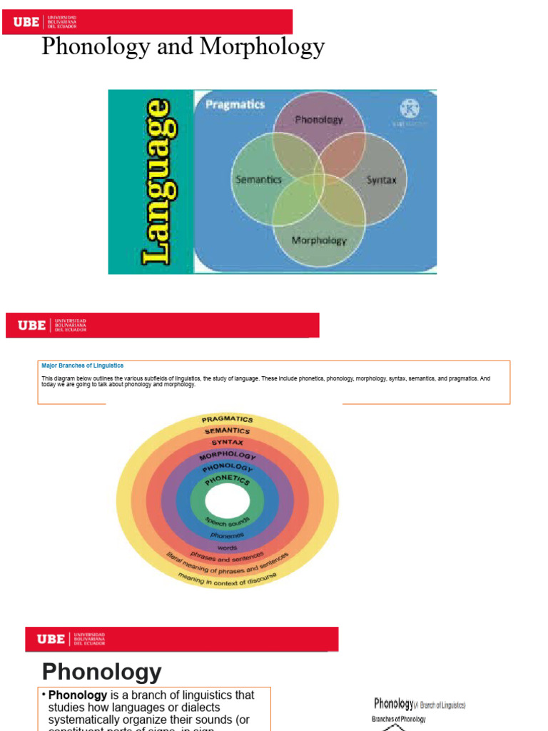 Phonology and Morphology Overview | PDF | Phonology | Word