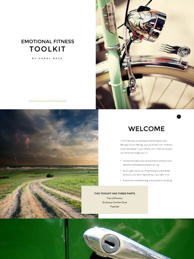 Emotional Fitness Toolkit 2020 | PDF | Emotions | Feeling