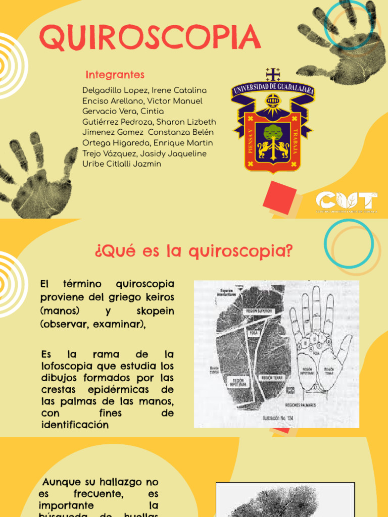 Quiros | PDF | Mano | Anatomía humana