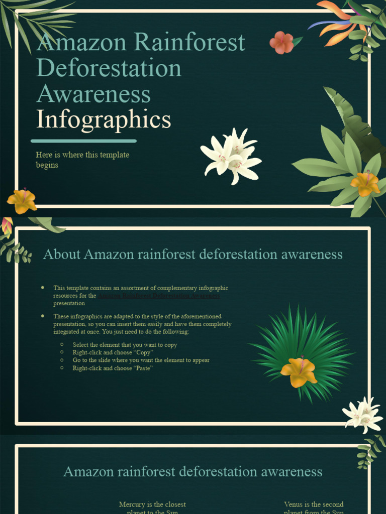 Amazon Rainforest Deforestation Infographics | PDF | Planets | Planets ...