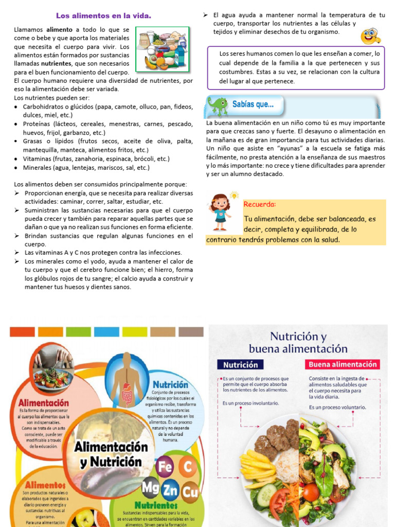 Ficha Alimentacion y Nutricion | PDF | Alimentos | Nutrientes