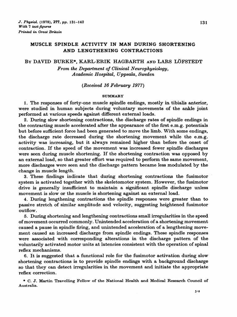 1978 Muscle Spindle Activity in Man During Shortening and Lengthening ...