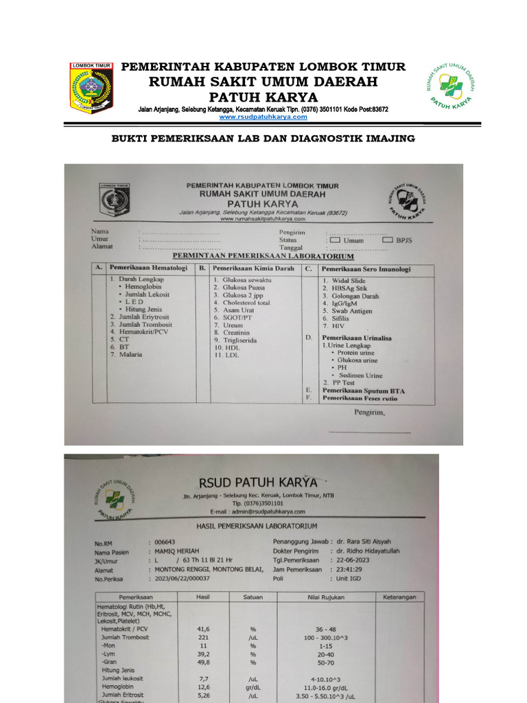 Bukti Pemeriksaan Lab Dan Diagnostik Imajing | PDF