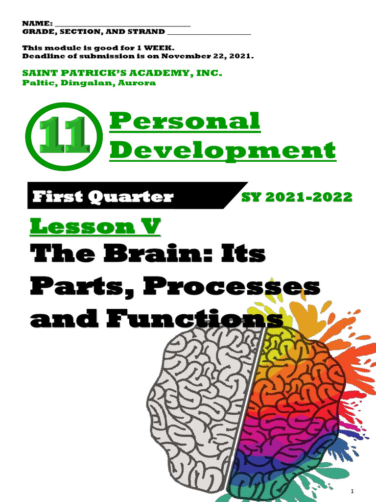 PerDev Q1-L5 | PDF | Cerebral Hemisphere | Neuron