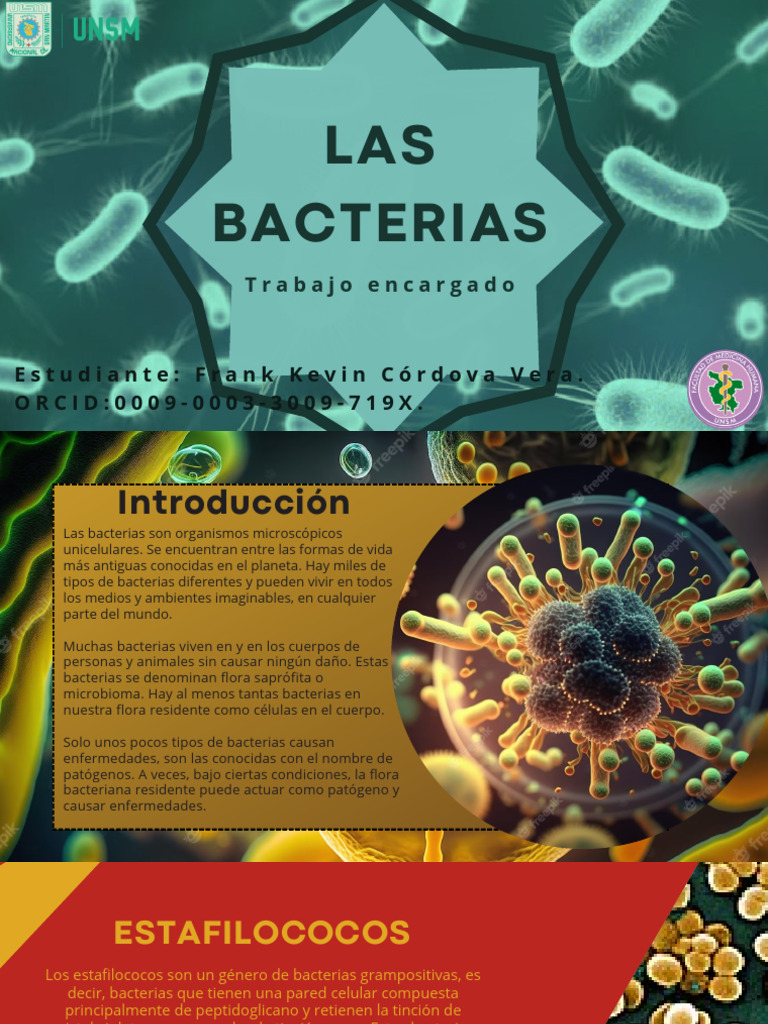 Las Bacterias | PDF | Las bacterias | Enfermedad de Lyme