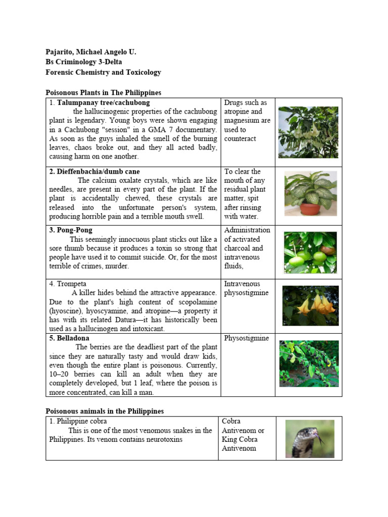 Michael Pajarito Forensic 3 | PDF | Snake | Venom
