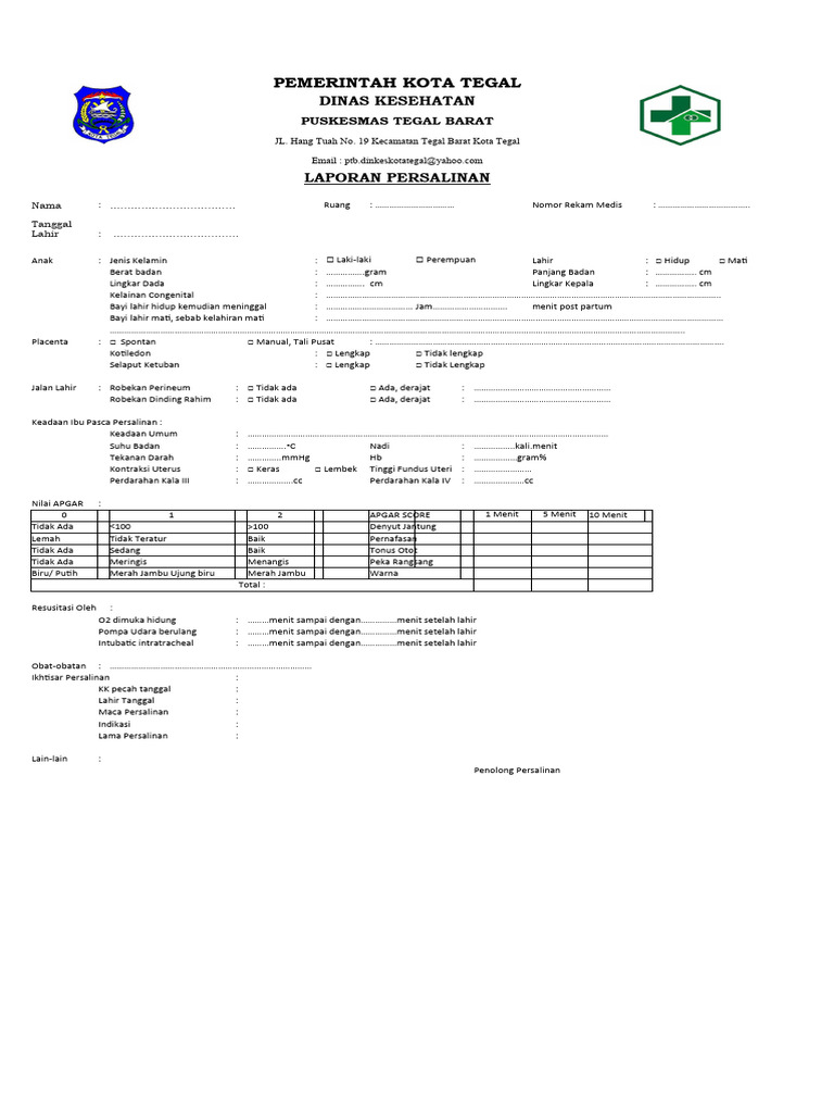 Form Status Persalinan | PDF