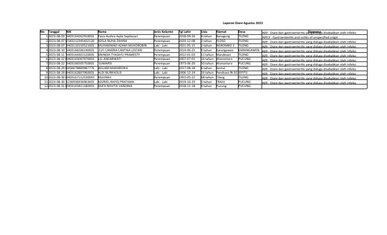 Laporan Visit Sensus | PDF