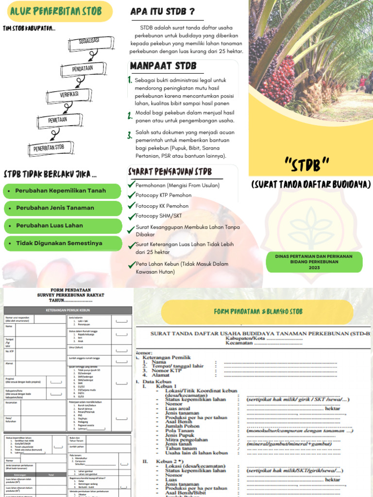 Liplet STDB Lamandau | PDF