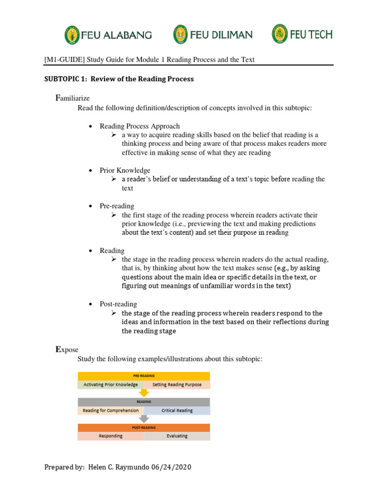 Understanding the Reading Process | PDF | Computing | Cognition
