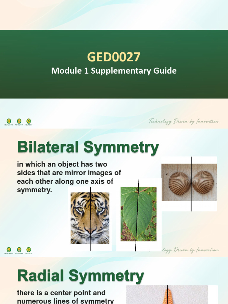 M1-Guide | PDF
