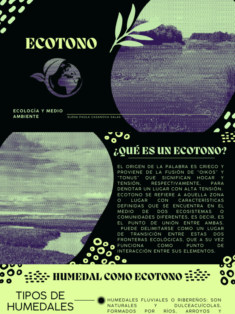 Ecotono Presentación | PDF | Humedal | lago